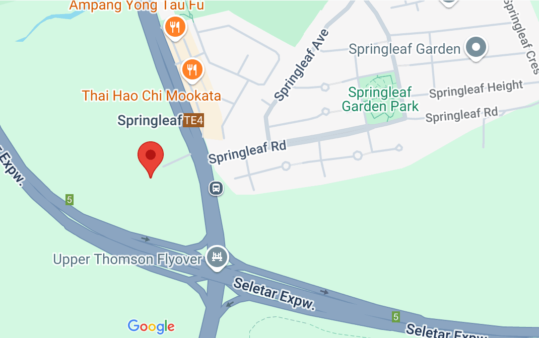 The Upper Thomson Road (Parcel A) Site GLS: Key Details, Pricing Trends ...